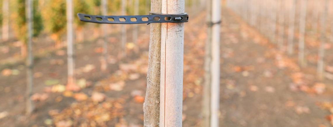 News: ARaymond launches an efficient and environmentally-friendly ...