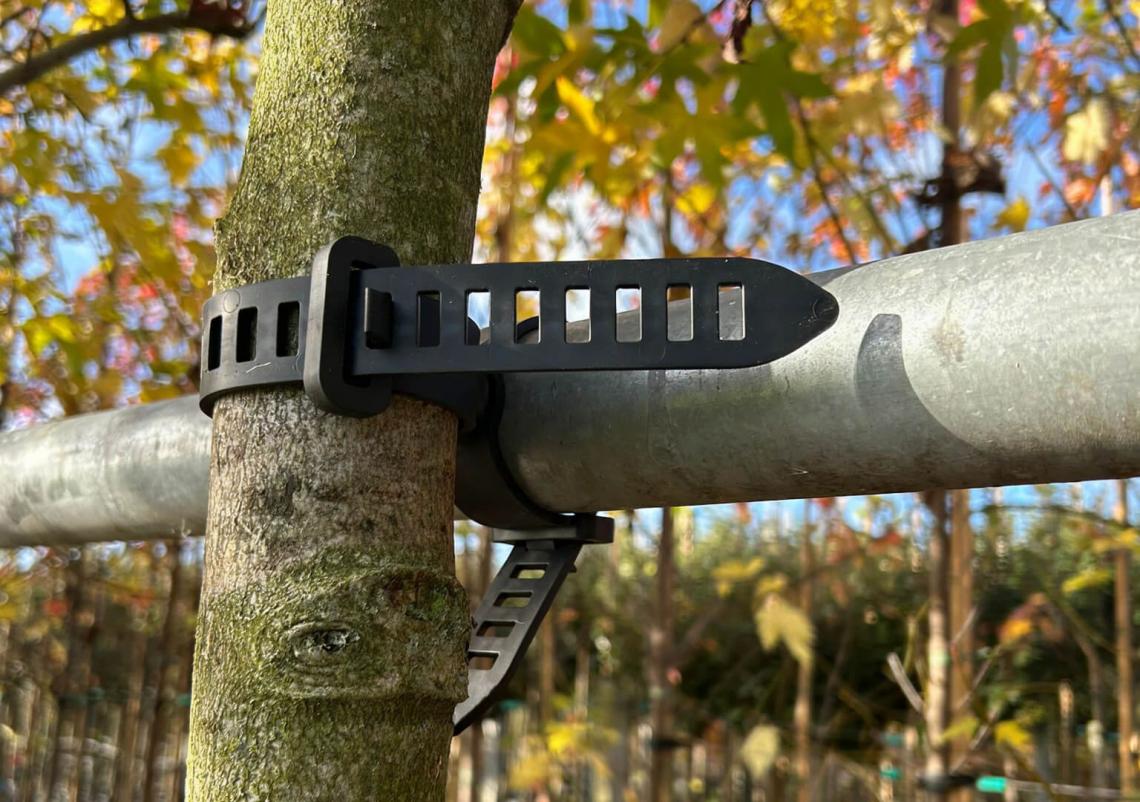 Agilo fijaciones reutilizables para árboles y viveros | ARaymond